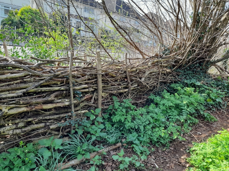 Natural Barriers Team Wilder | Avon Wildlife Trust