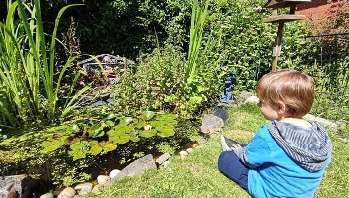 Ponds Team Wilder | Avon Wildlife Trust