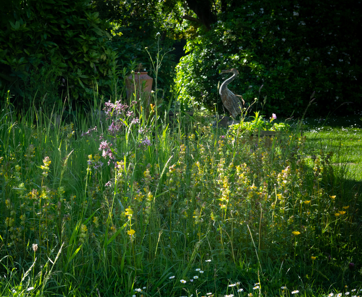 Wildlife Gardening Team Wilder | Avon Wildlife Trust