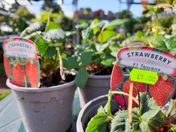 Case Study Redcatch Community Garden | Avon Wildlife Trust