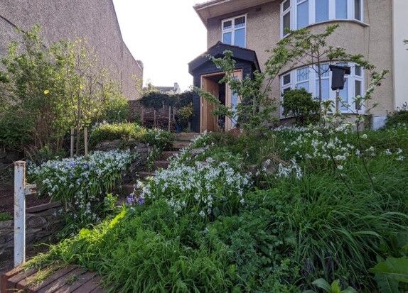 Case study Wildlife Gardening Team Wilder, Tom Willmott, BS3 | Avon ...