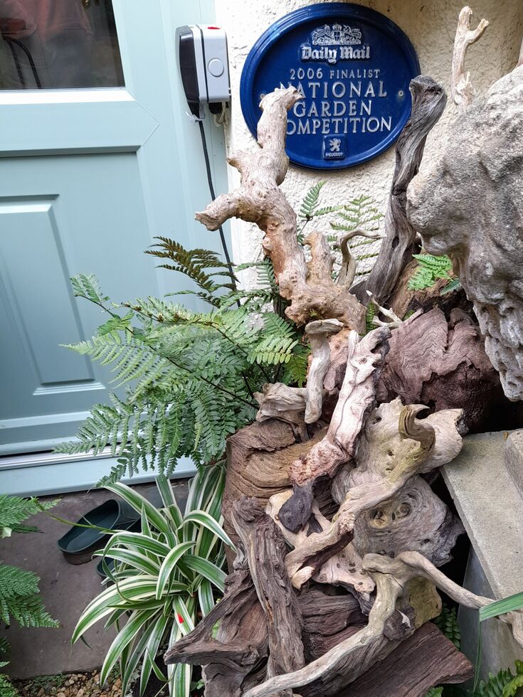 Team Wilder BS5 Garden St George in Bloom | Avon Wildlife Trust