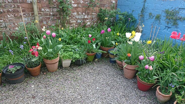 What is a Community Nature Reserve?