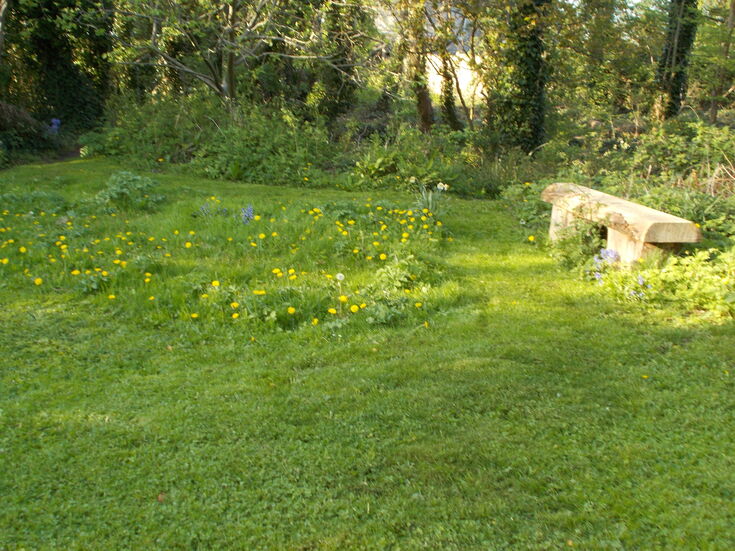 What is a Community Nature Reserve?
