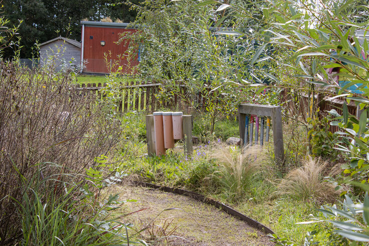 Team Wilder school wildlife garden Woodlands Academy, BS14 | Avon ...