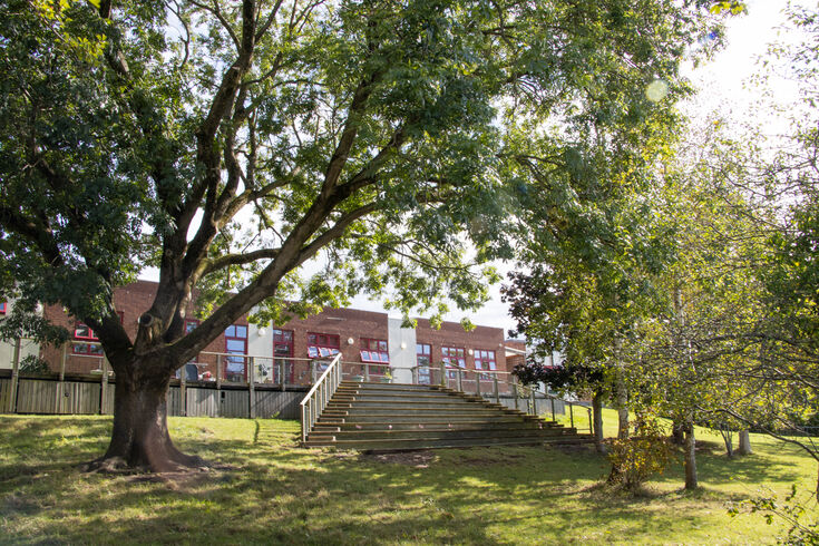 Team Wilder resource Tree Protection Orders | Avon Wildlife Trust