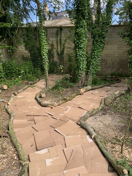 Case study Grow Batheaston | Avon Wildlife Trust