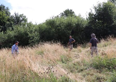 A day with the WildCATs at Dundry Slopes | Avon Wildlife Trust