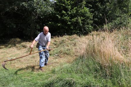 A day with the WildCATs at Dundry Slopes | Avon Wildlife Trust