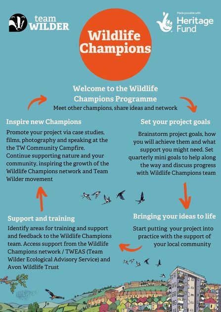 Wildlife Champions | Avon Wildlife Trust