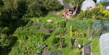 Changes to Bristol Allotment Tenancy Agreements | Avon Wildlife Trust