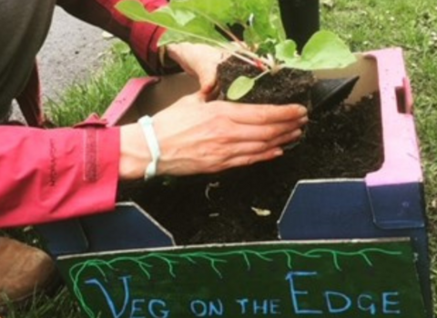 Team Wilder Introduction | Avon Wildlife Trust